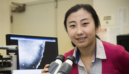 Young faculty member receives prestigious grant | Binghamton University ...