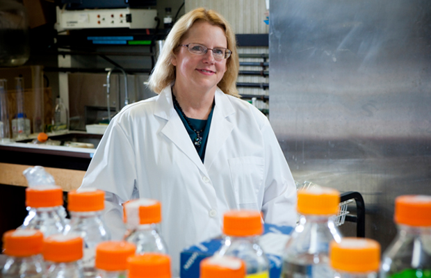 Cancer drug research gets boost | Binghamton University Research News